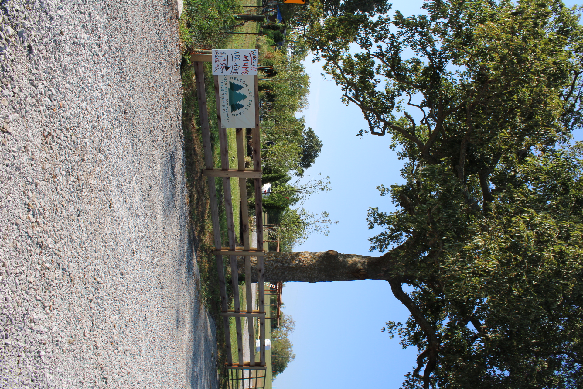 Nelson Lee Tree Farm